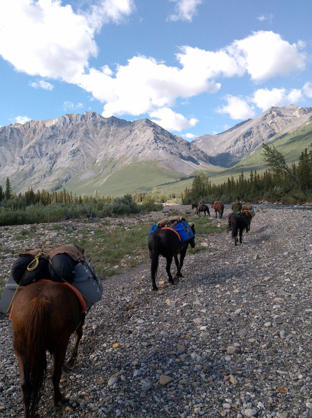 Toad River Trail Rides - Peak Wyld Co.