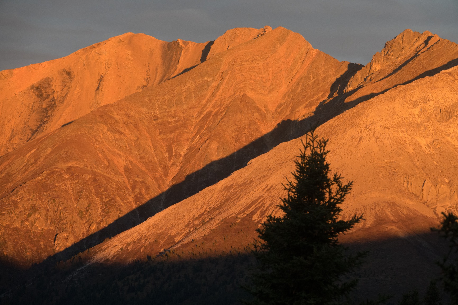 Muskwa Kechika Adventures - Peak Wyld Co.