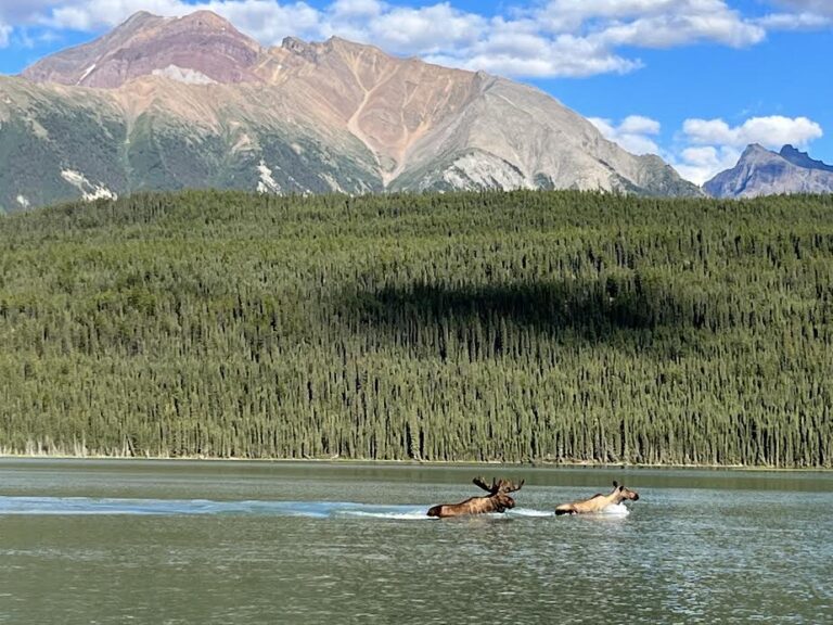 Moose Lake, Toad River Tour - Peak Wyld Co.